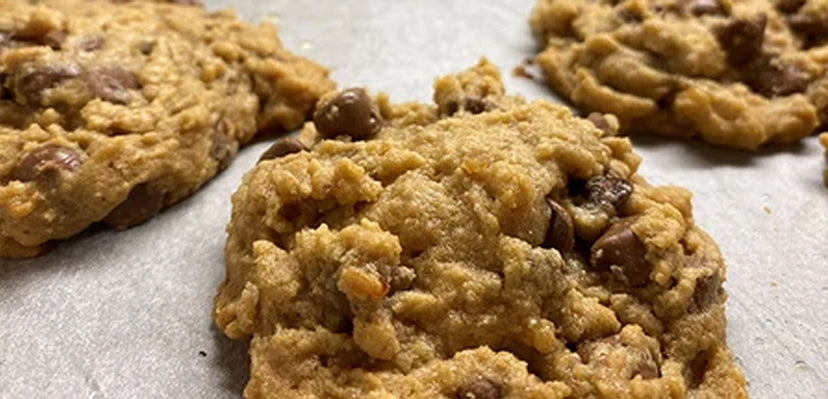 Hard-Boiled Egg Chocolate Chip Cookies– Negg Egg Products